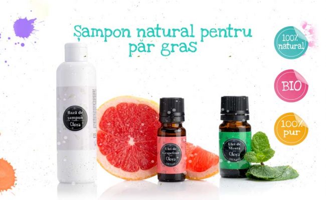 Sampon 100% natural pentru par gras