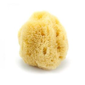 Burete de Mare din matase pentru Ten si Bebelusi - Produse Spa
