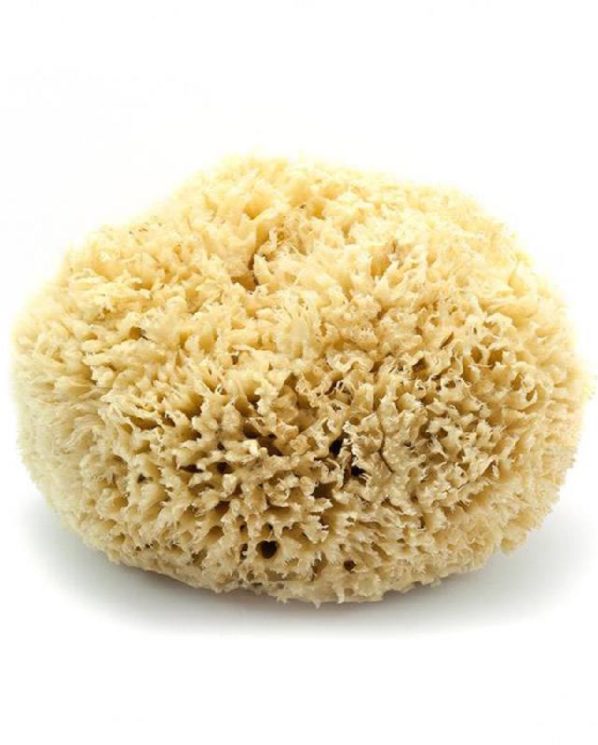 Bureti de Mare naturali - Produse SPA - Recomandat de Farmacist